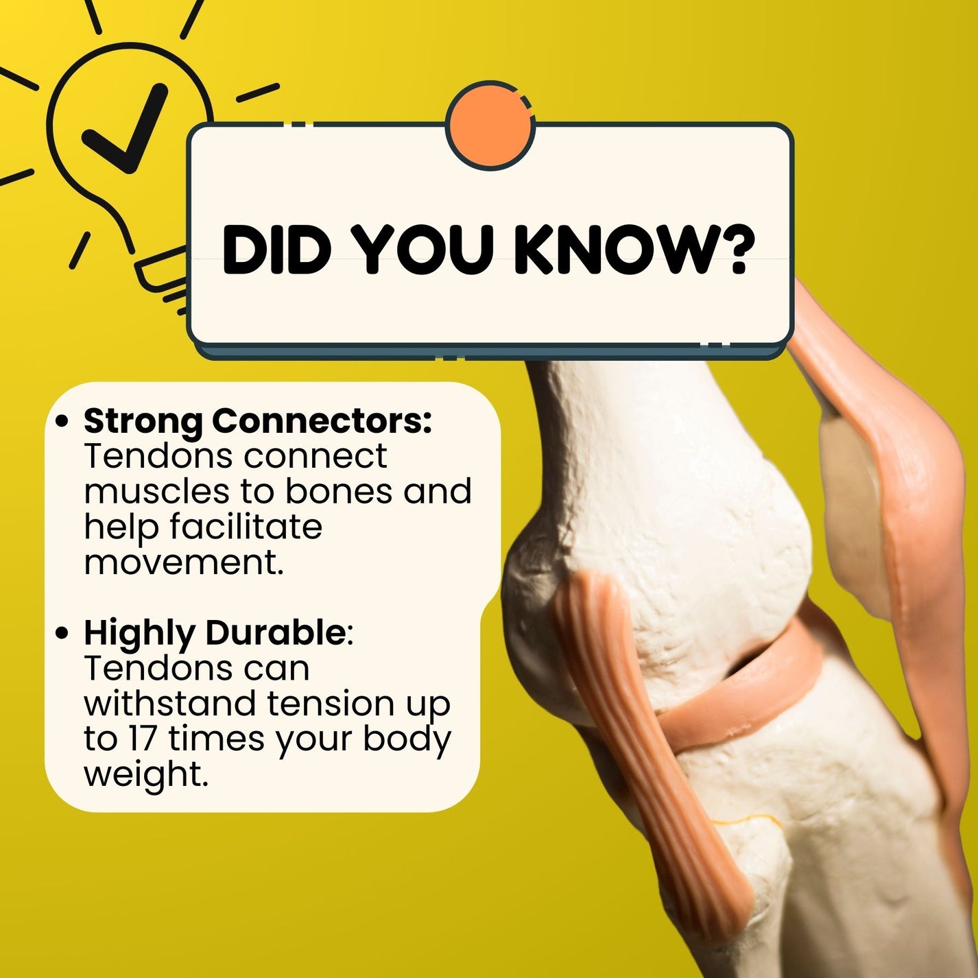 Fortend 20's Controls Inflammation Repairs Tendon & Protects Tendon ECM ...